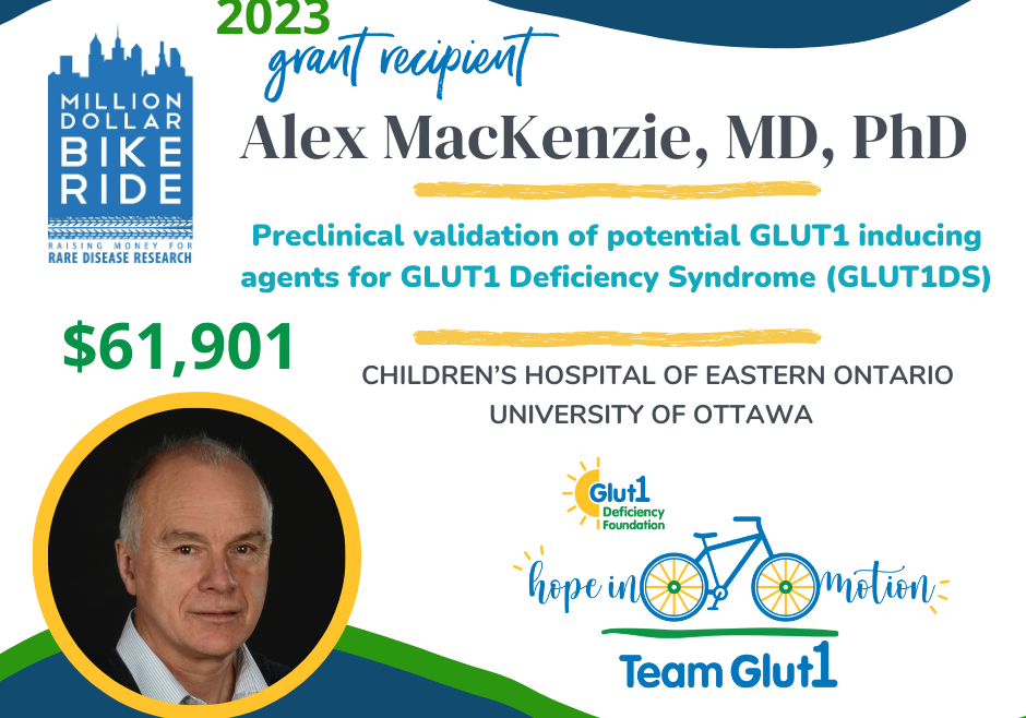 Red blood cells as glucose carriers to the human brain: new paper from ...